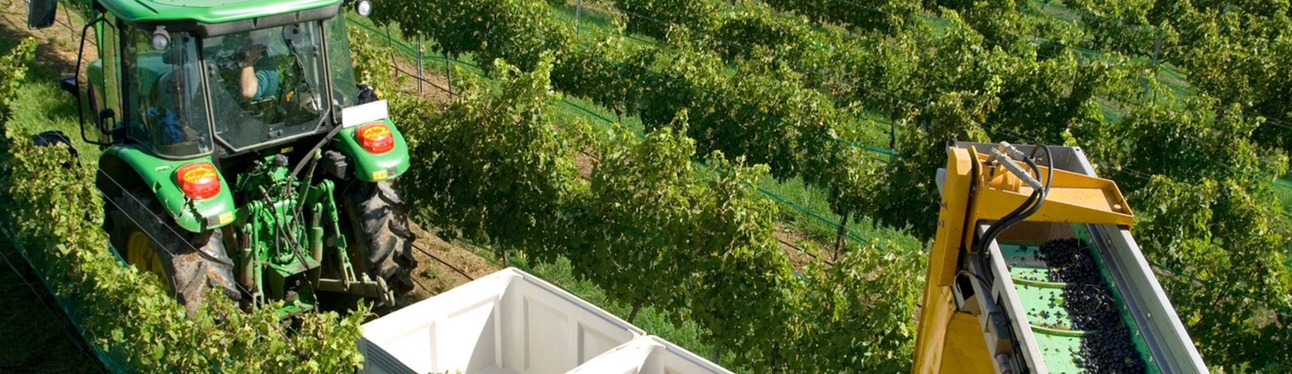 Bande transporteuse pour machine agricole - Agriculture - Maas