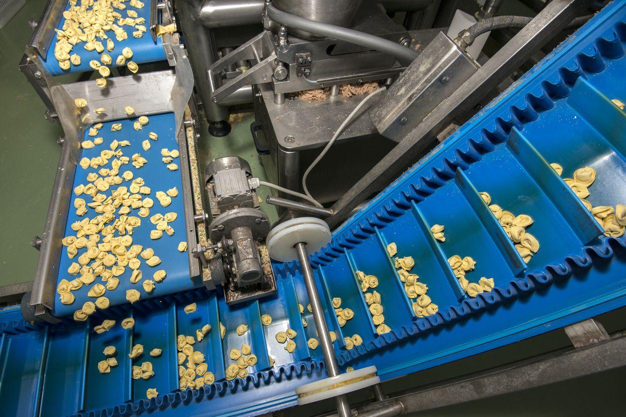 Bande transporteuse pour le domaine agro-alimentaire - Maas
